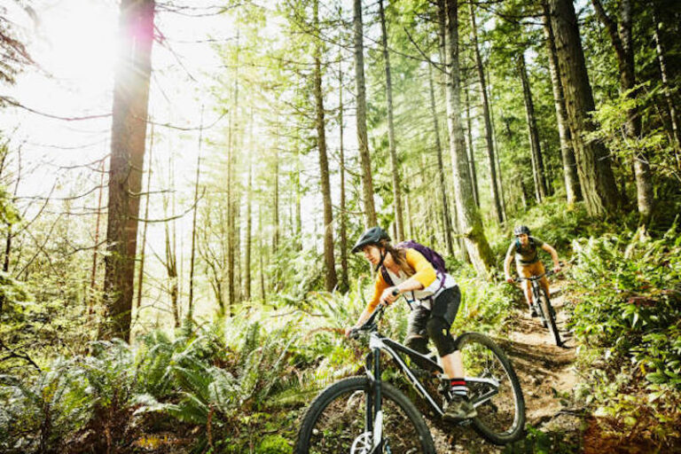 Mountain Bike Trail Difficulty Ratings Explained - Bike Trekker